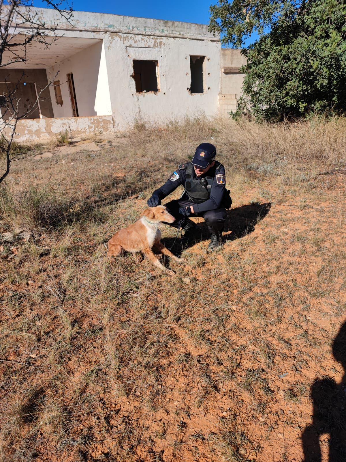 La Policía Local de Cheste rescata un perro moribundo – Bandú – Cheste